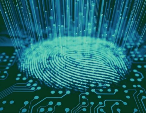 How digital signatures work in blockchain - UBC Digital Magazine